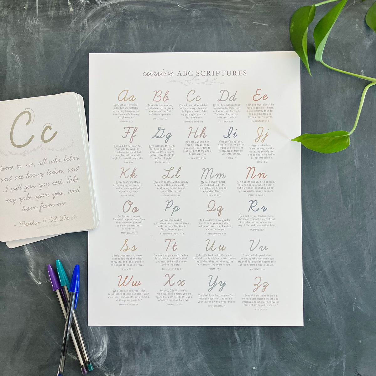 Cursive ABC Scriptures Poster – Pip & J Papery