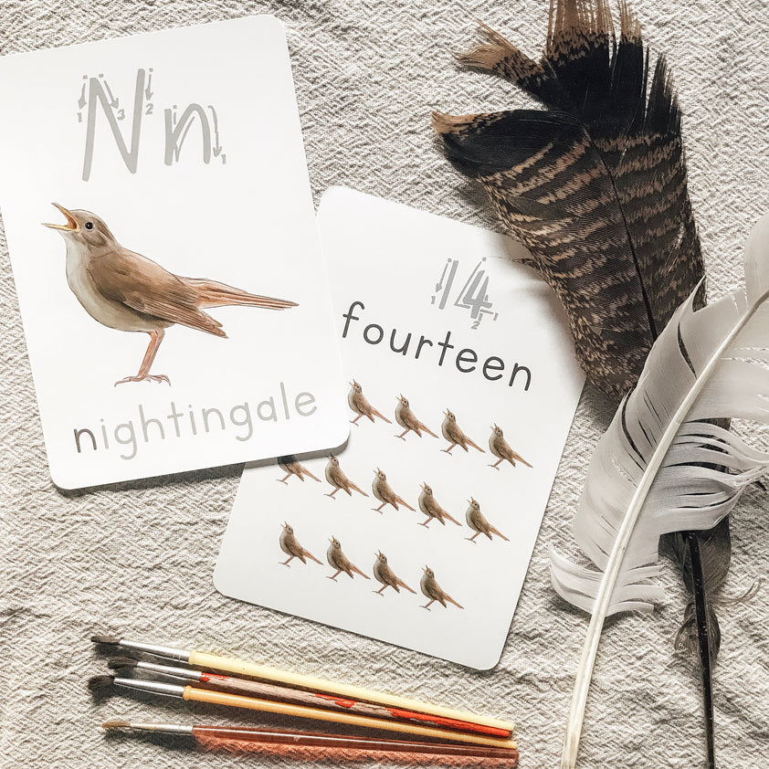 Animal ABC + 123 Flash Cards – Pip & J Papery